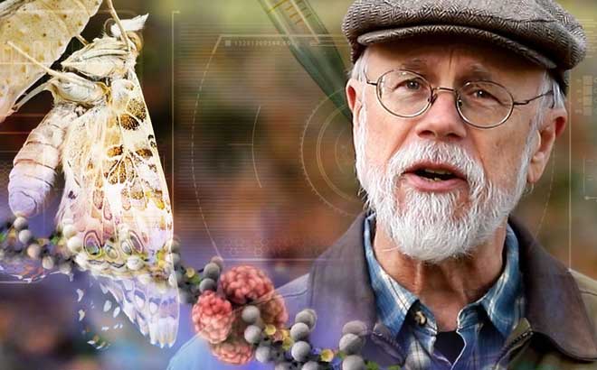 O Triunfo de Behe Sobre a Nomenklatura Científica » Portal TDI Brasil