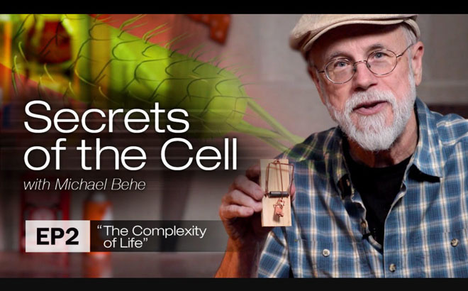 Segredos da Célula, com Michael Behe » Portal TDI Brasil